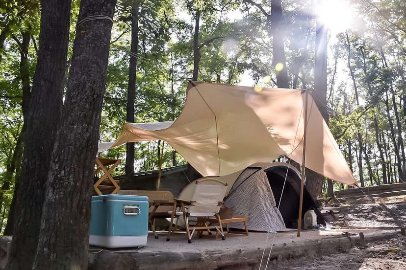 【のとろ原キャンプ場】-キャンプ予約は【ExCAMP】