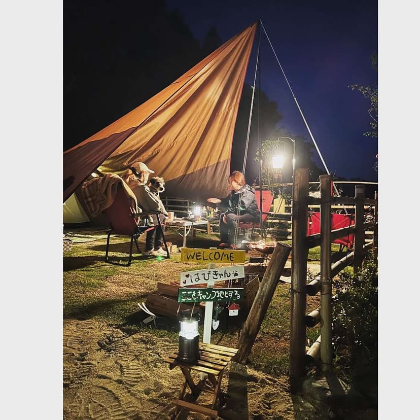 1日5組限定。ワンコも泊まれる、森の中の星空キャンプ場「BASE.5」 】-キャンプ予約は【ExCAMP】