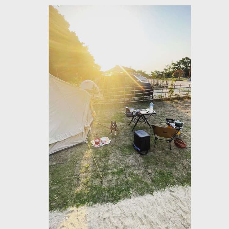 1日5組限定。ワンコも泊まれる、森の中の星空キャンプ場「BASE.5」 】-キャンプ予約は【ExCAMP】