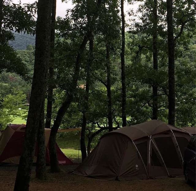 【マキノ高原キャンプ場】-キャンプ予約は【ExCAMP】